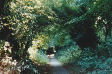 Faringdon Folly - Faringdon & District Archaeological & Historical Society