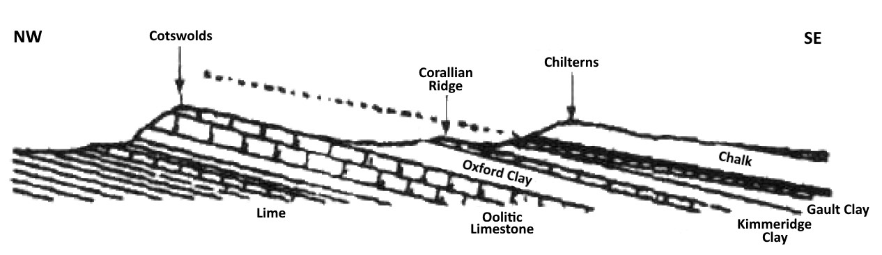 Geology & Archaeology Around Faringdon - Faringdon History Website